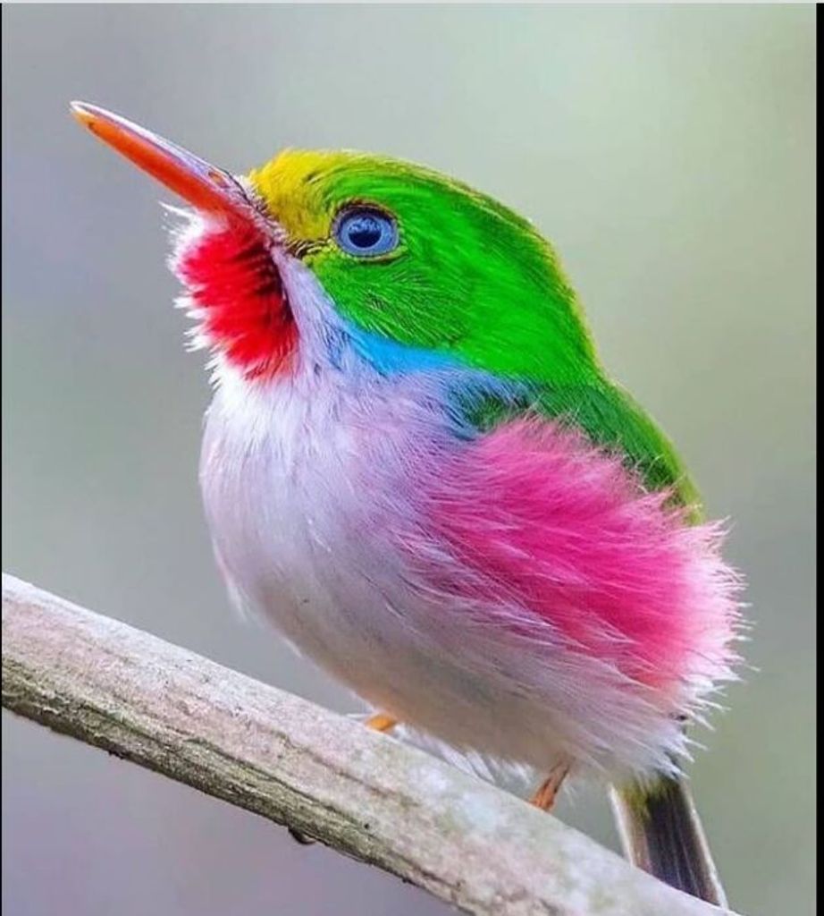 Joseph George Sita Obituary May 20, 2024 - Thomas M. Steighner Funeral Home