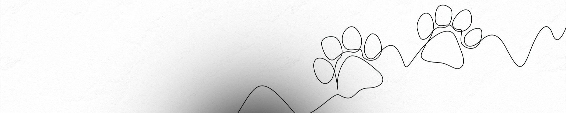 Lois Katie Fortner Obituary December 29, 2024 - Wells Funeral Home ...