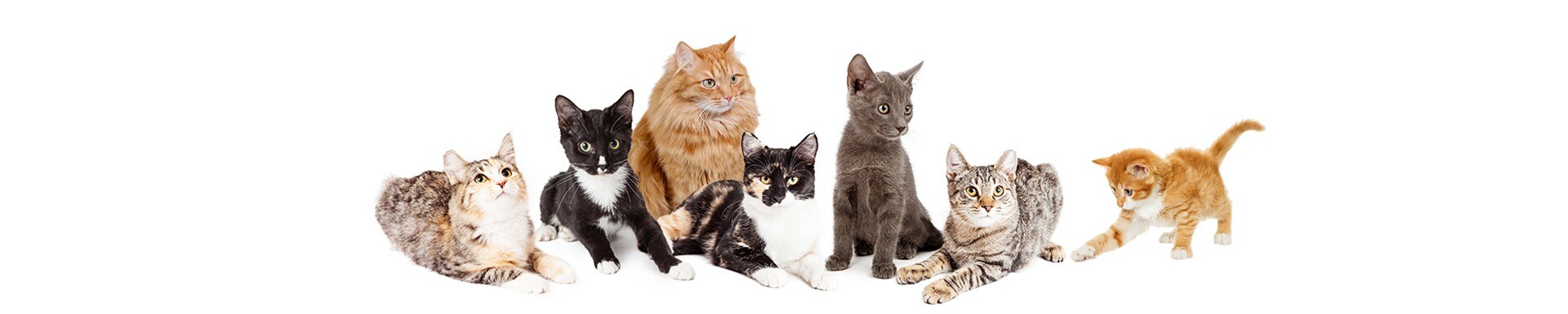 Judy Hall Obituary September 15, 2024 - Newcomer Cincinnati