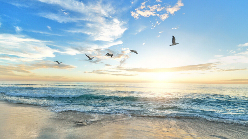 Nicolas Anthony Musumeci Obituary March 17, 2025 - Nardolillo Funeral Home