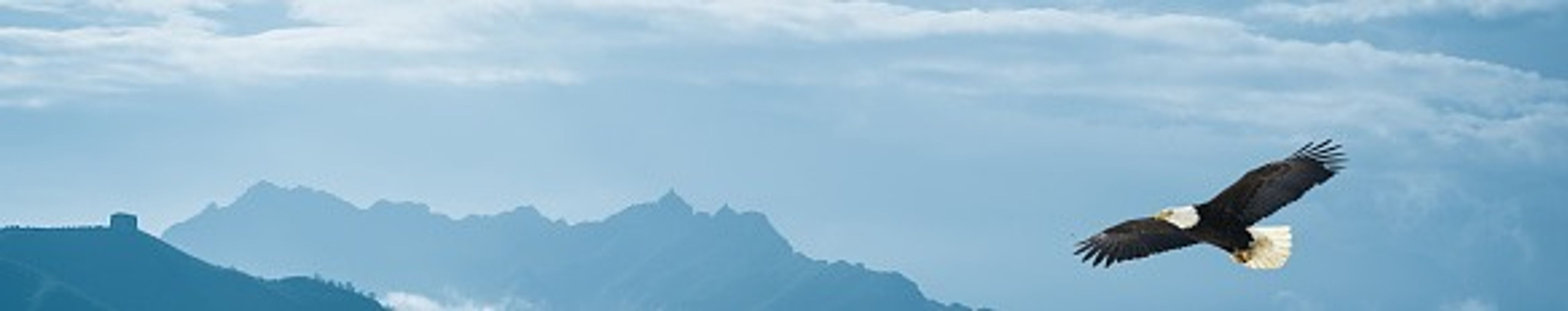 Kevin Eagle Obituary December 21, 2024 - Wilson & Triplett Funeral Home