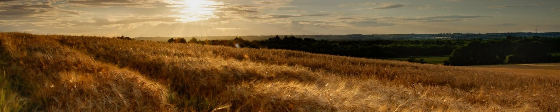 Monty Jay Streeter Obituary December 14, 2024 - Perkins Funeral Home ...