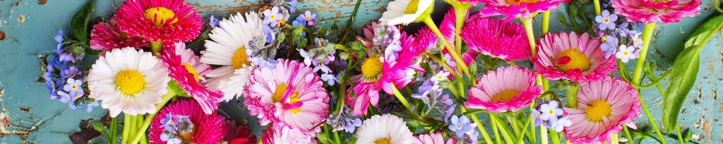 Joan L Berndt Obituary January 20, 2024 - Helke Funeral Home and ... Joan L Berndt Obituary January 20, 2024 - Helke Funeral Home and ...