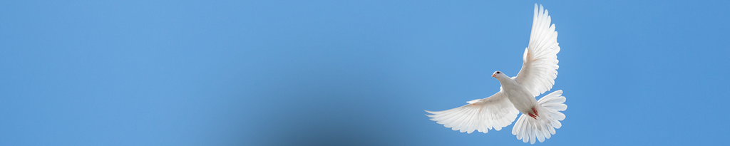 James Brian "Jim" Pritchard Obituary 2024 - Cress Funeral and Cremation Services