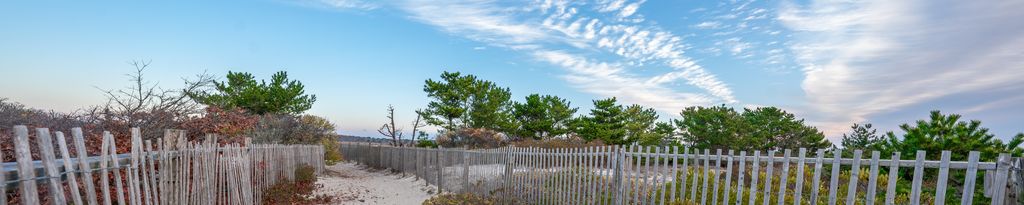 Barbara Chaffee Obituary 2023 - Paradis-Givner Funeral Home