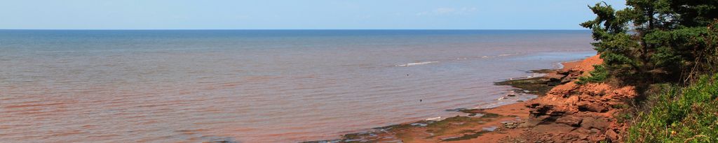 Francis Roderick MacLeod (Roddie) Obituary February 17, 2024 - Basic ...