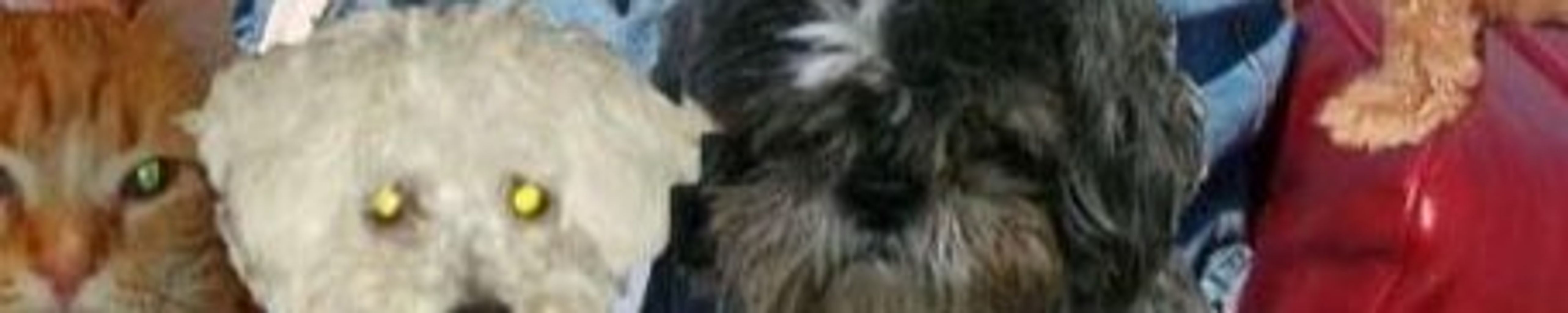 Connie Lynn Brunner Obituary January 4, 2025 - Freck Funeral Chapel