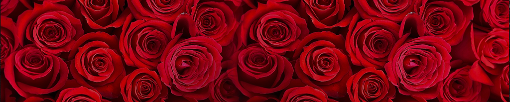 Ruby Brewer Styron Obituary March 8, 2025 - Munden Funeral Home