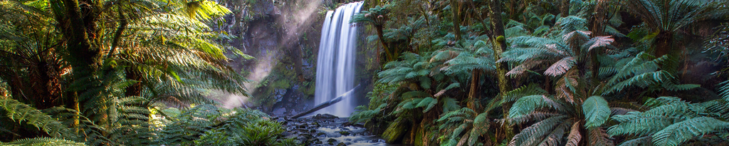 Fred McCrary Obituary February 21, 2025 - Murray - Orwosky Funeral Home