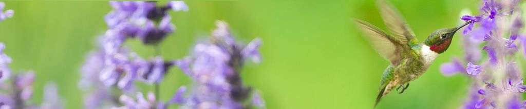 Earnie Yeary Obituary 2024 - Newcomer Cincinnati