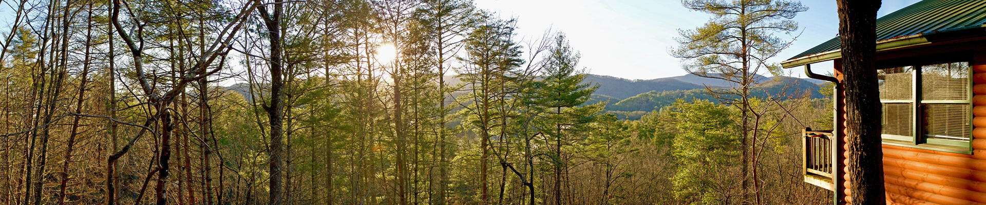 Sandra Kay Reinhart Obituary January 10, 2025 - Newcomer Columbus
