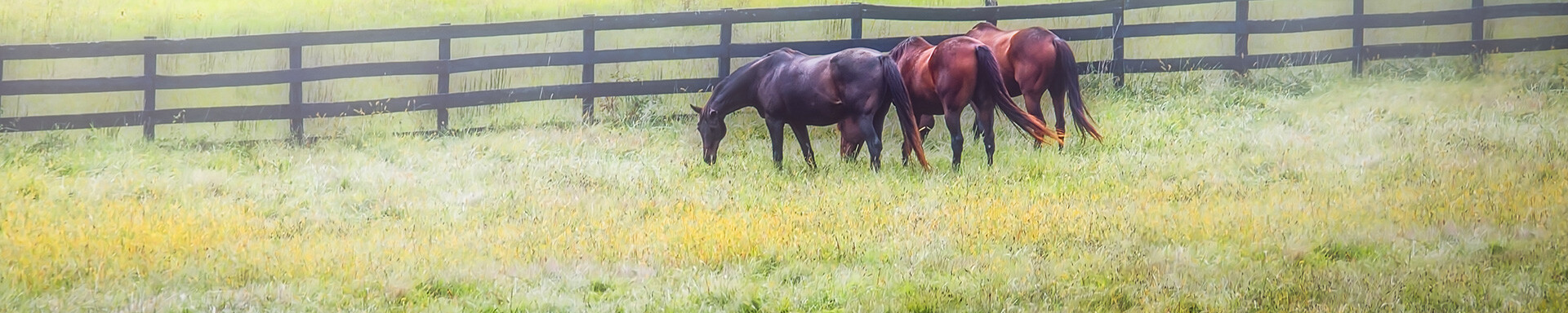 Thomas Clark Obituary April 6, 2016 - Newcomer Dayton