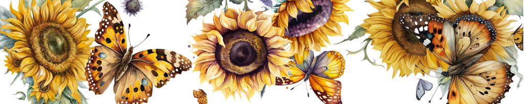 Deborah "Debbie" Fitzpatrick Obituary September 24, 2024 - Pathway ...