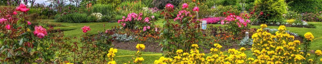 Sandra Kay Jones Obituary March 4, 2025 - Sharp Funeral Homes