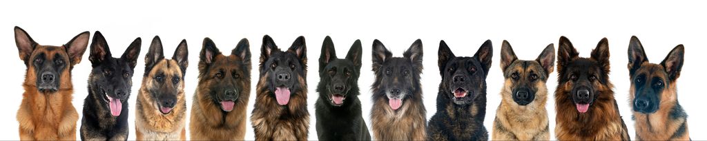 Kristen Lee Raby Obituary February 16, 2024 - Twin Oaks Memorial ...