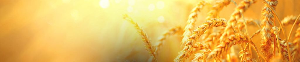 Ervin J. Sorg Obituary January 15, 2025 - Zwick and Jahn Funeral Homes