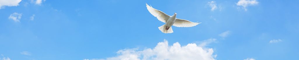 Charles Joshua "Charlie" Neace Obituary March 14, 2024 - Newcomer ...