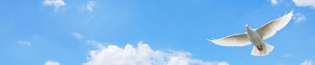 Margaret L. Wolf Obituary 2024 - Newcomer Green Bay