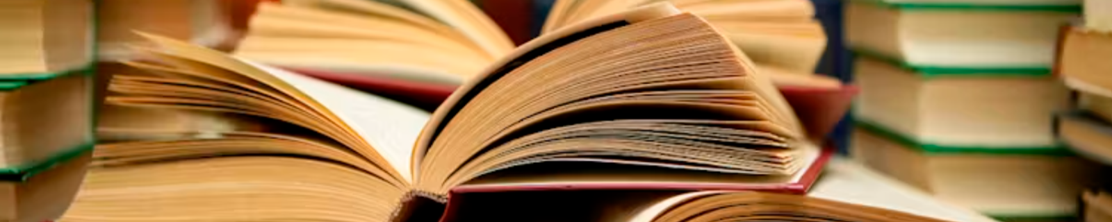 Megan Ruth Marshack Obituary 2024 - W.F. Gormley & Sons