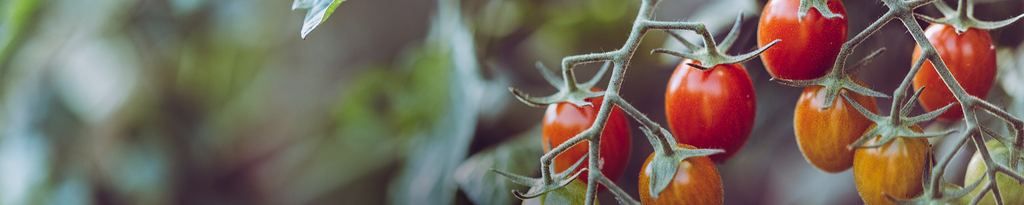 John Kenneth Rachal Obituary January 7, 2025 - Blanchard St. Denis ...