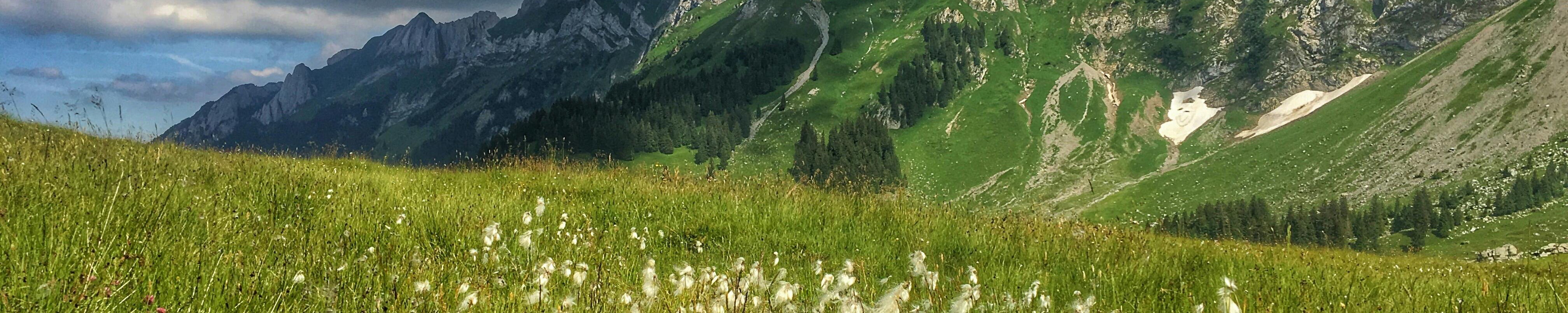 Judith Andrea Toth Obituary March 6, 2025 - Ingram Funeral Home & Crematory