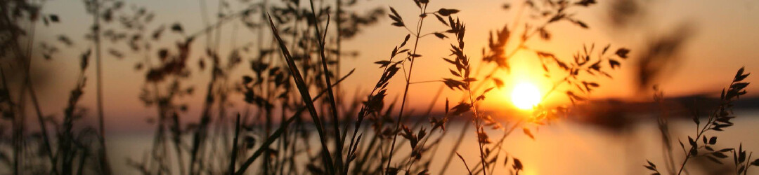 Steve Rutledge Obituary January 10, 2025 - Crosier - Pearson Cleburne ...