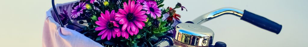 Janice Darlene (Evans) Snyder Obituary November 29, 2022 - Basic ... Janice Darlene (Evans) Snyder Obituary November 29, 2022 - Basic ...
