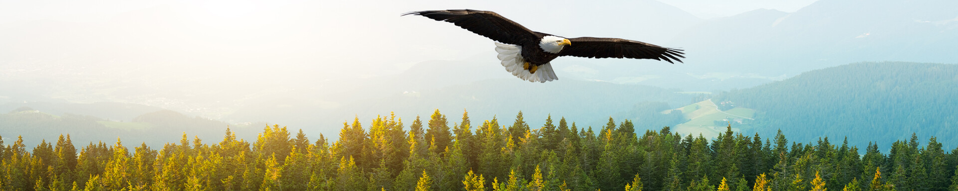 Jesse R. Meadows Obituary January 17, 2023 - Newcomer Dayton