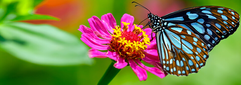 Cassandra Dawn Martin Rorrer Obituary January 10, 2025 - Moody Funeral ...