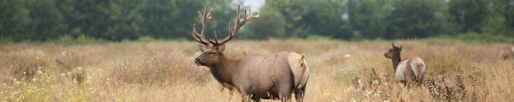 Daniel O. Rutledge Obituary July 18, 2023 - Casada Funeral Home