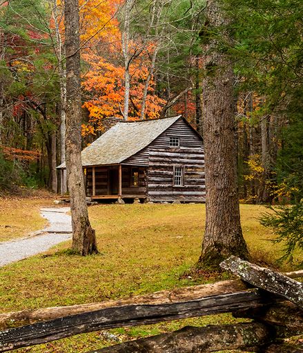 Most Recent Obituaries | Simplicity Funeral & Cremation Care