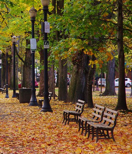 Jacob Warren Smith Obituary January 8, 2025 - Conner-Bowman Funeral Home