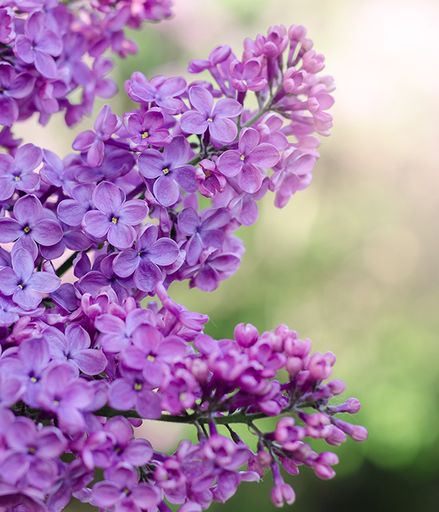 Janice Walker Obituary January 18, 2025 - Buffalo Hill Funeral Home ...