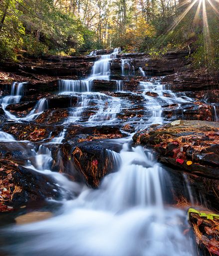 Mr. Arthur Morgan Obituary February 24, 2025 - Watkins, Garrett & Woods ...