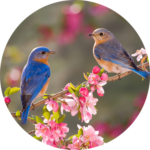 Barbara Majewski Obituary November 8, 2023 - Maxwell Funeral Home