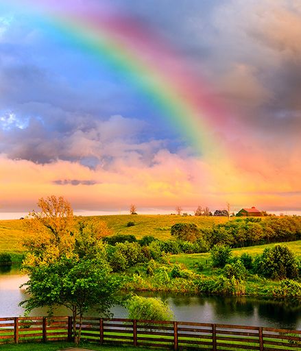 Koda Cole Obituary February 21, 2025 - Feuerborn Family Funeral Service