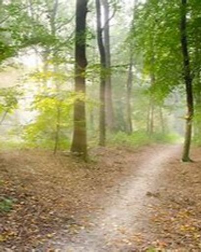 Most Recent Obituaries | McCabe Funeral Home, Inc Waldron Funeral Home