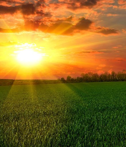 John C. Whaley Obituary January 25, 2025 - Magnolia Chapel Funeral Home