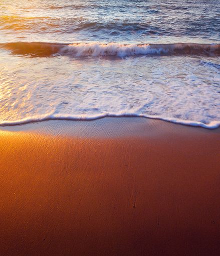 Fran Inman Obituary January 25, 2025 - Noe - Brooks Funeral Home ...