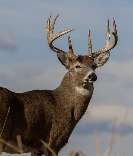 Most Recent Obituaries | Archer Funeral Home