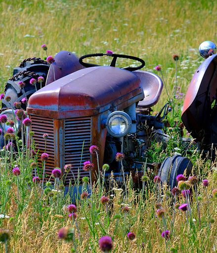 Reuben Leroy Mowery Obituary January 22, 2025 - Searcy Funeral Home and ...