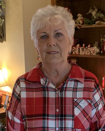 Susan Mae (Peters) Hicks Obituary August 21, 2023 - Schooler Funeral ...