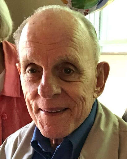 Stephen Schmidt Obituary November 11, 2024 - Gearty-Delmore Funeral Chapels