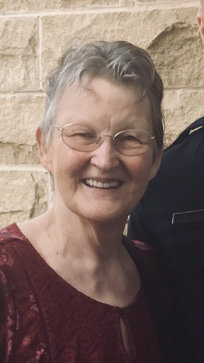 Patricia Joy Merrick Obituary November 15, 2020 - Raymer - Kepner ...