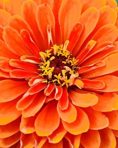 Kathleen Joy Putman Obituary January 9, 2023 - Avink McCowen Secord ...