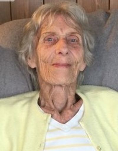 Nancy L. Watson Obituary 2020 - Delaney Funeral Home