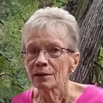 Virginia Ryer Obituary April 15, 2024 - Wing-Bain Funeral Home