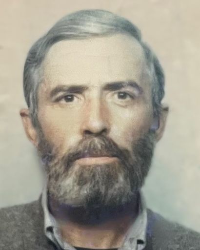 Robert Robert