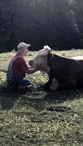 Jeffrey Dale Etheredge – Quad Cities Daily