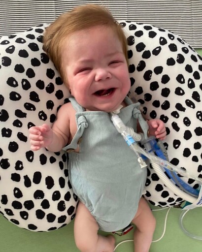 Preston Cole Stewart – Quad Cities Daily